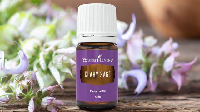 Clary sage young living store